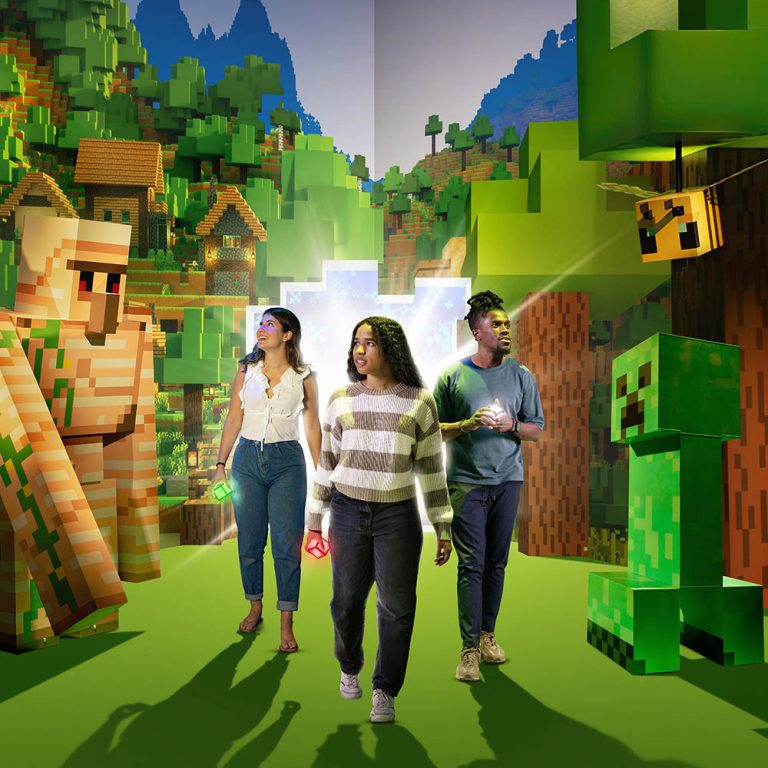 Minecraft Experience