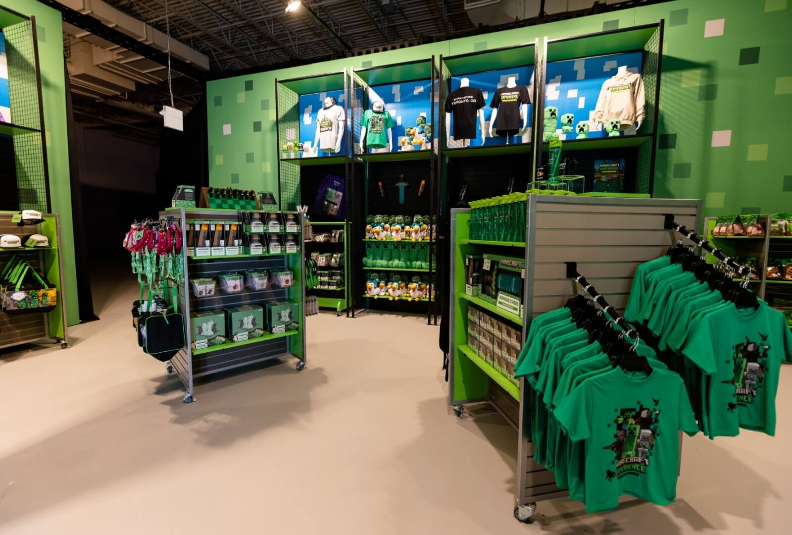 Minecraft Experience Toronto