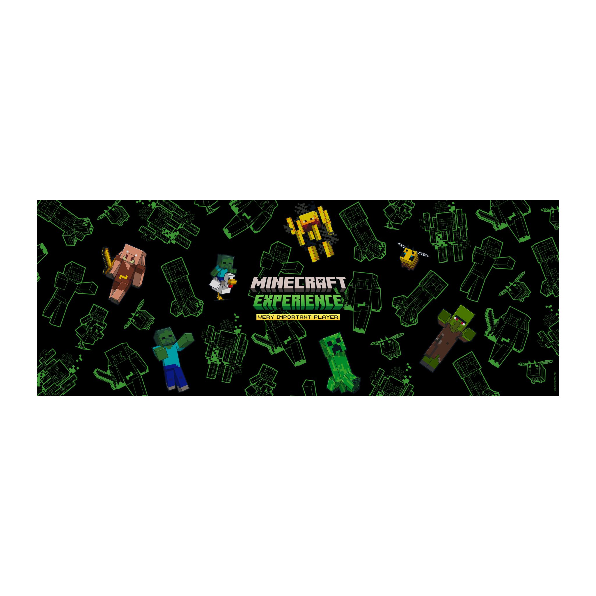 Minecraft Experience Singapore